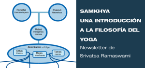 SAMKHYA una introducción a la filosofía del YOGA